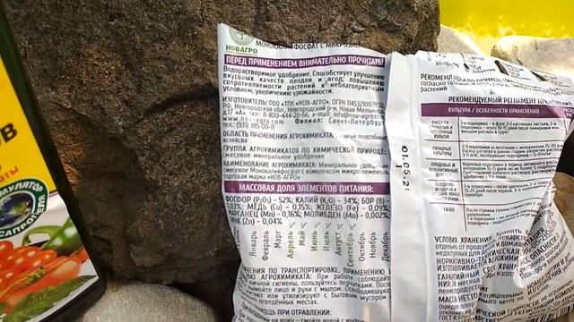 спасаю томаты от жары