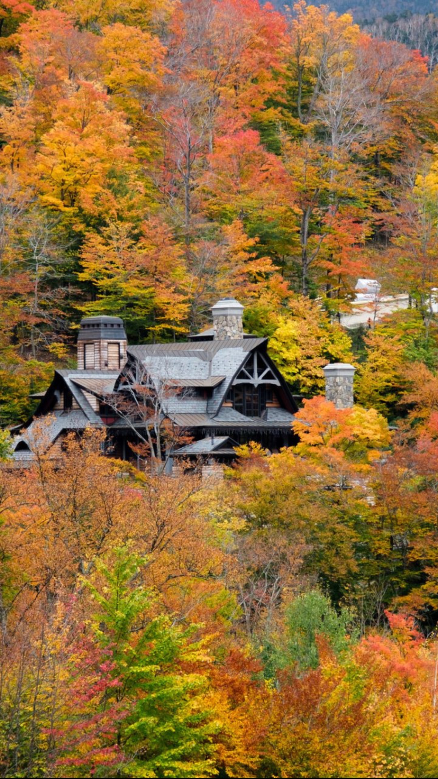 Эта осень - Екатерина Осипенко