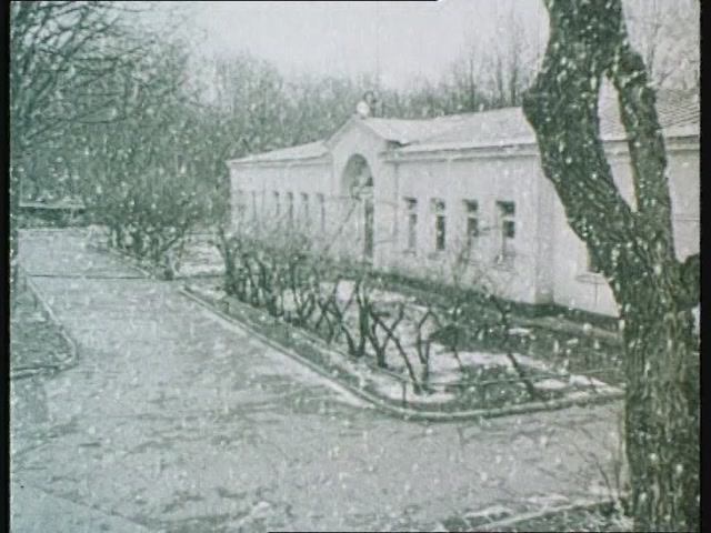 Александр Розенбаум - По снегу, летящему с неба (Друг, 1987г.)