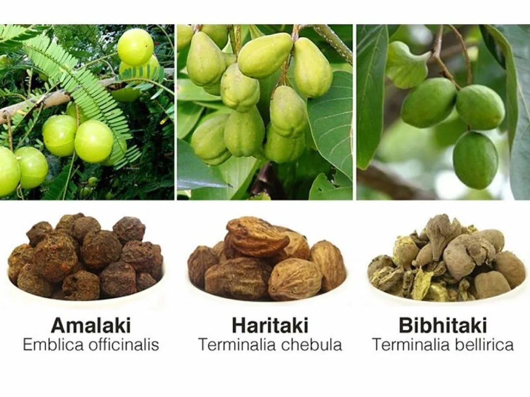 Трифала - от всех болезней. Живи до ста.