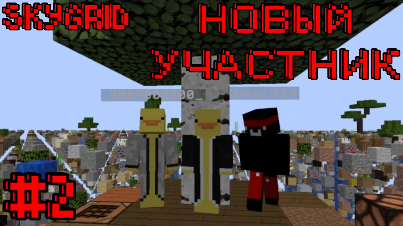 SKYGRID #2 Новый Участник