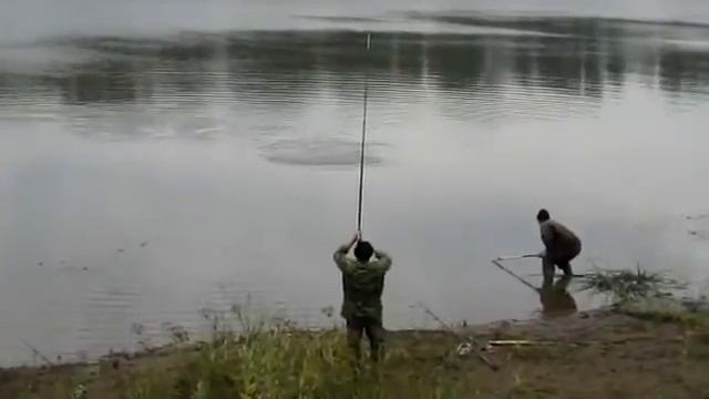 Ловля сазана на Каме.