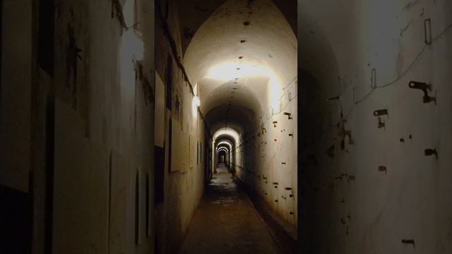 Западный Котлин, форт Риф.