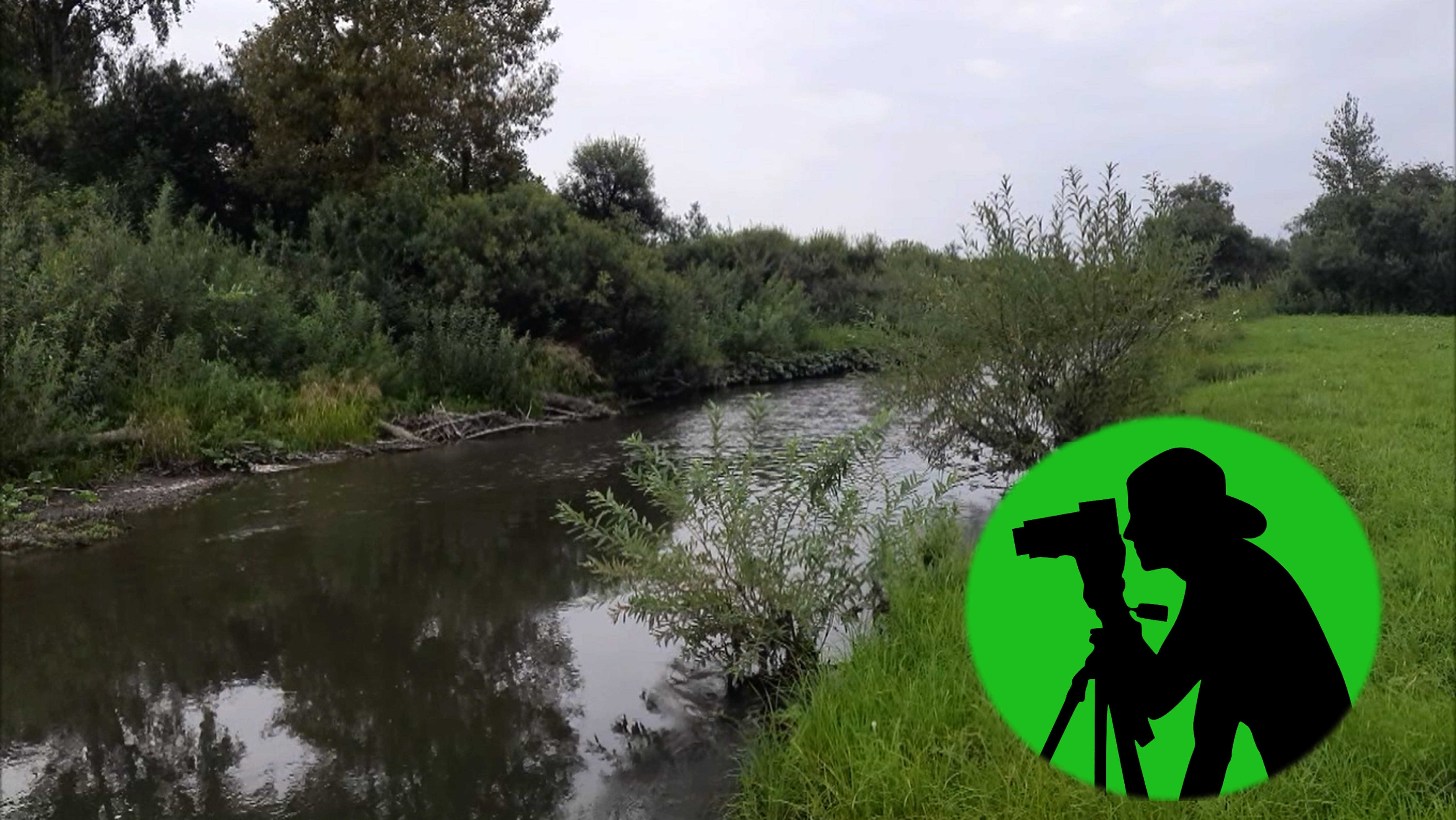 Звуки природы / Пение птиц и неторопливое журчание реки