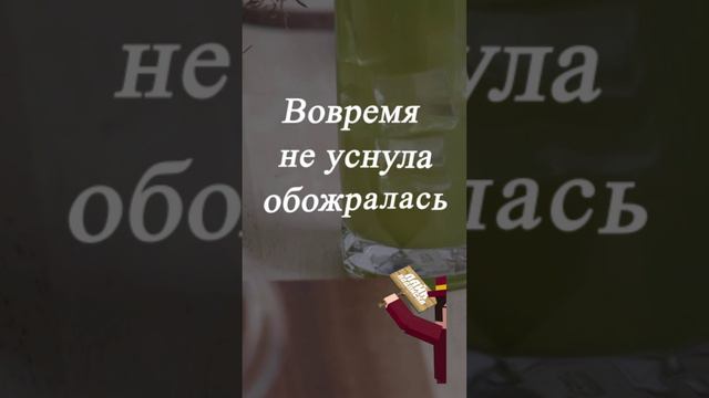 Главное в диете