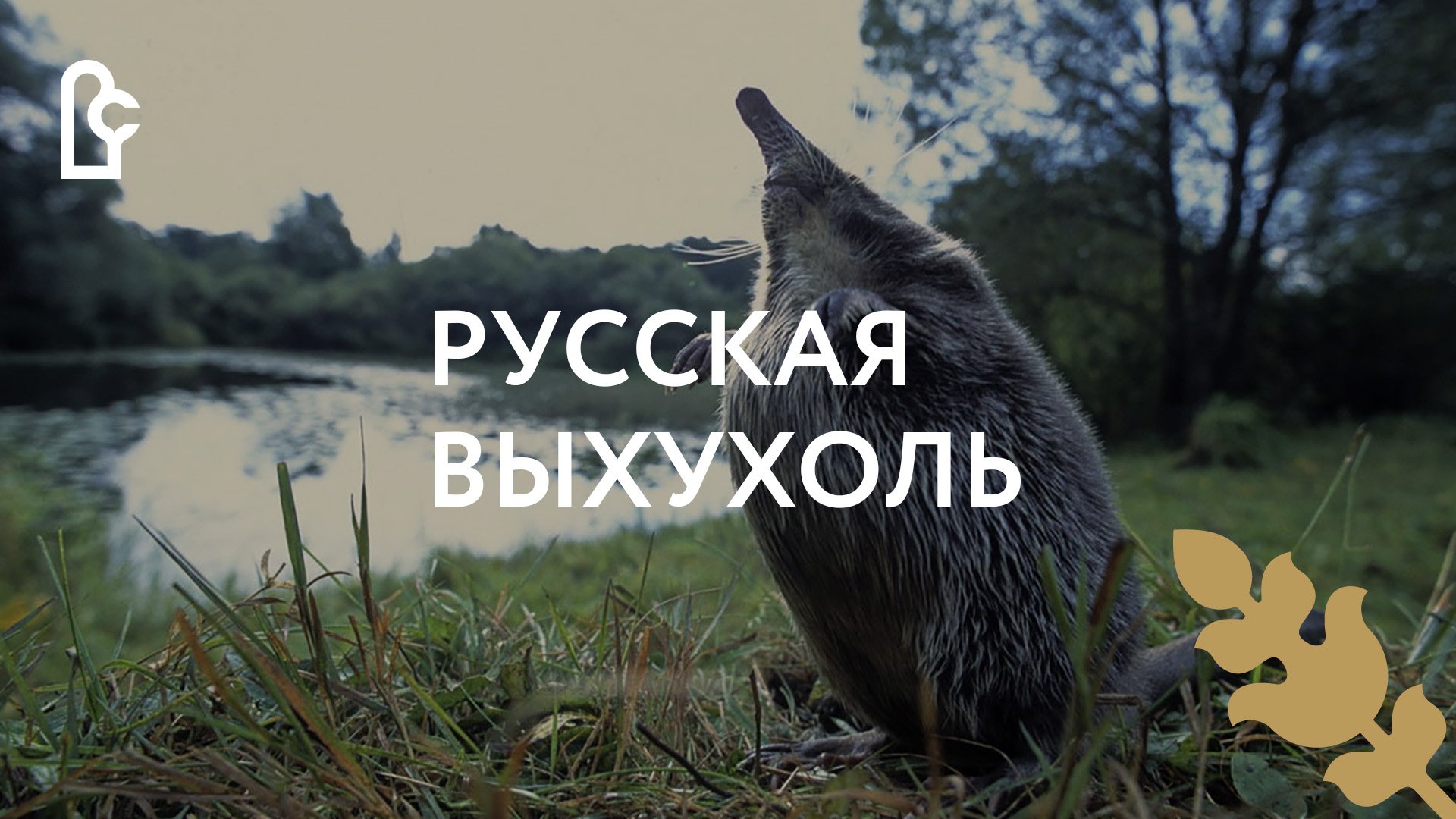 Русская выхухоль