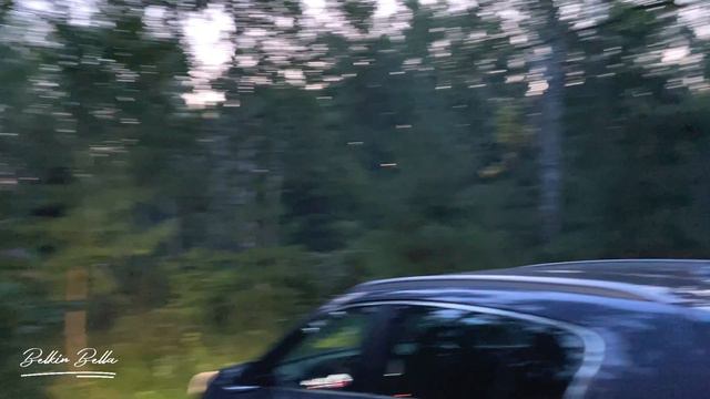 Кордон Щучье логово Валеры