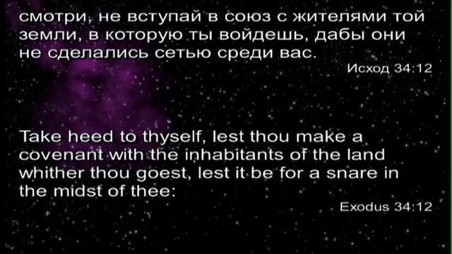 3.Если бы любовь Суженый, суженая_ как узнать свою половинку Лекция Виталия Олийника..mp4
