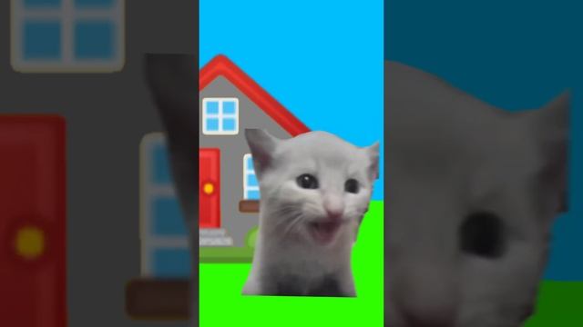 Недели котёнок Shorts (3)