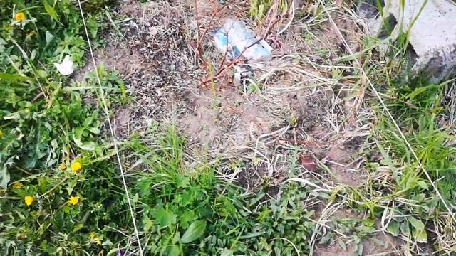 Траншея под виноград.mp4