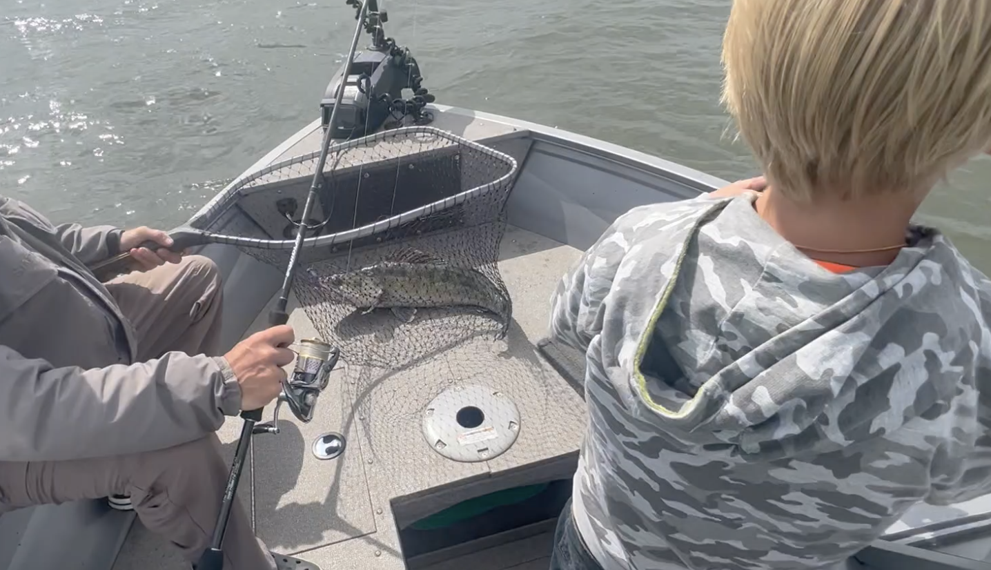 Липецкое море. Охота за судаком