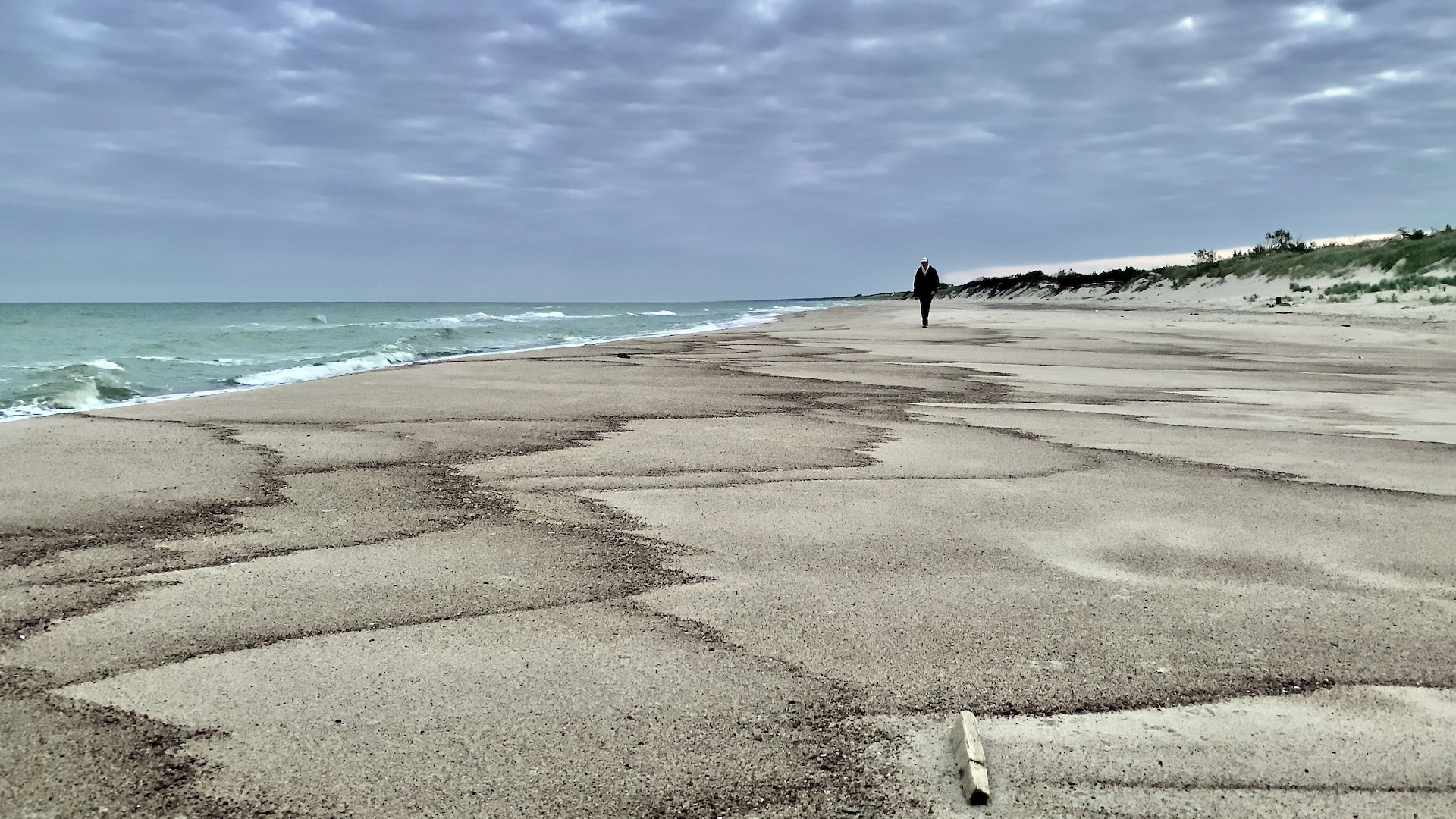 Медитация LVL PRO | Пашу на быке | 11 быков дзен, серия 11