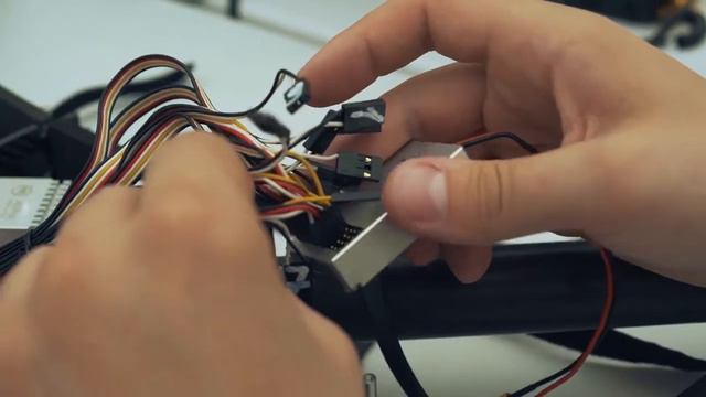 Команда НаукаСофт