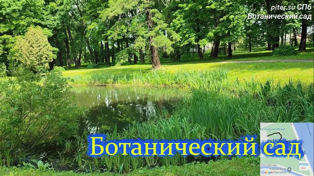 Ботанический сад Петра Великого Петроградский район СПб #ботаническийсад #botanicalgarden piter.su
