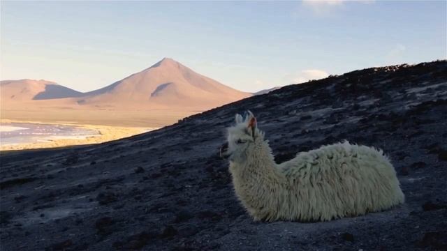 Армик-Эскапада.mp4