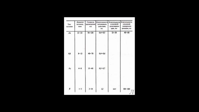 3.4 Параметры нервной системы. Следовые потенциалы
