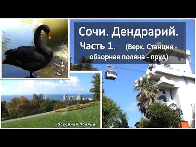 Сочи Дендрарий Часть 1 Верхняя станция пруд 12.08.16