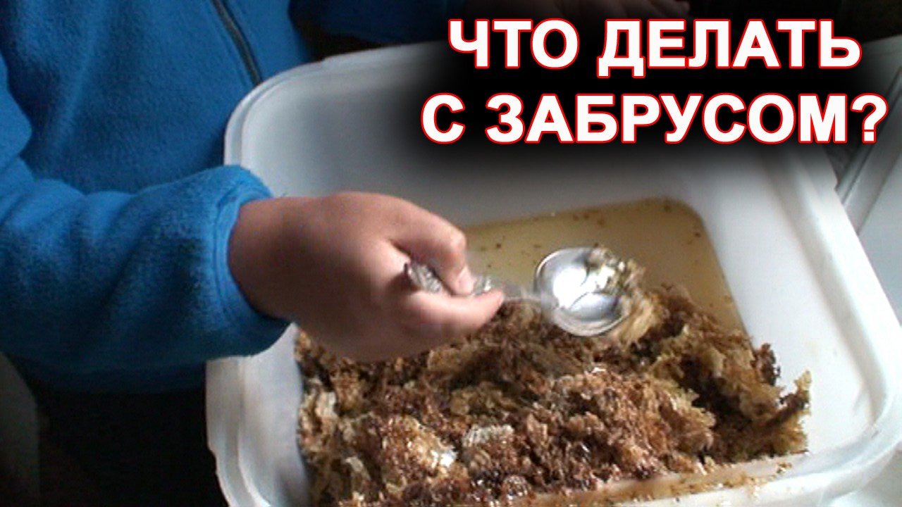 Что делать с забрусом ? (почти серьёзно)