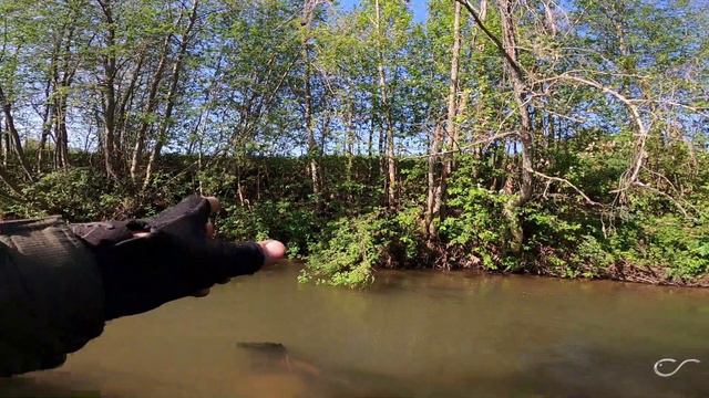 Тенкара,хариус на нимфу.