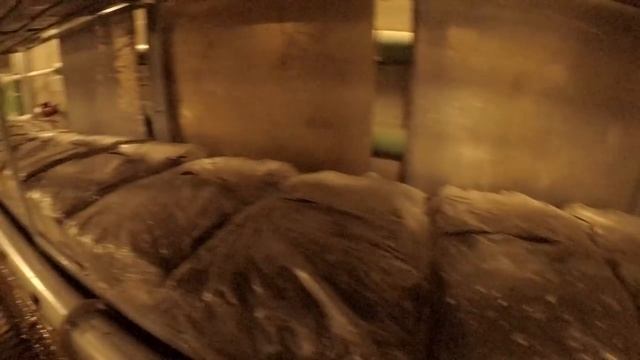 Бизнес на выращивании шампиньонов. Загрузка компоста в камеру