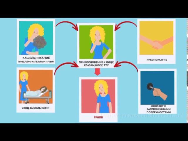 Видеоролик Как передается грипп
