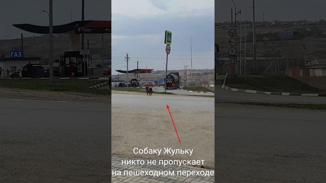 Дальнобойщик VS заправка Flash