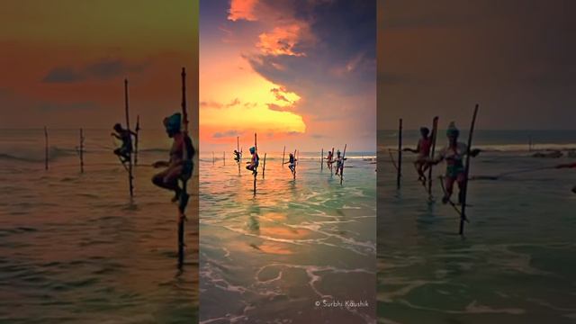 Так выглядит традиционная древняя техника рыболовства с помощью ходуль
Её до сих пор используют.