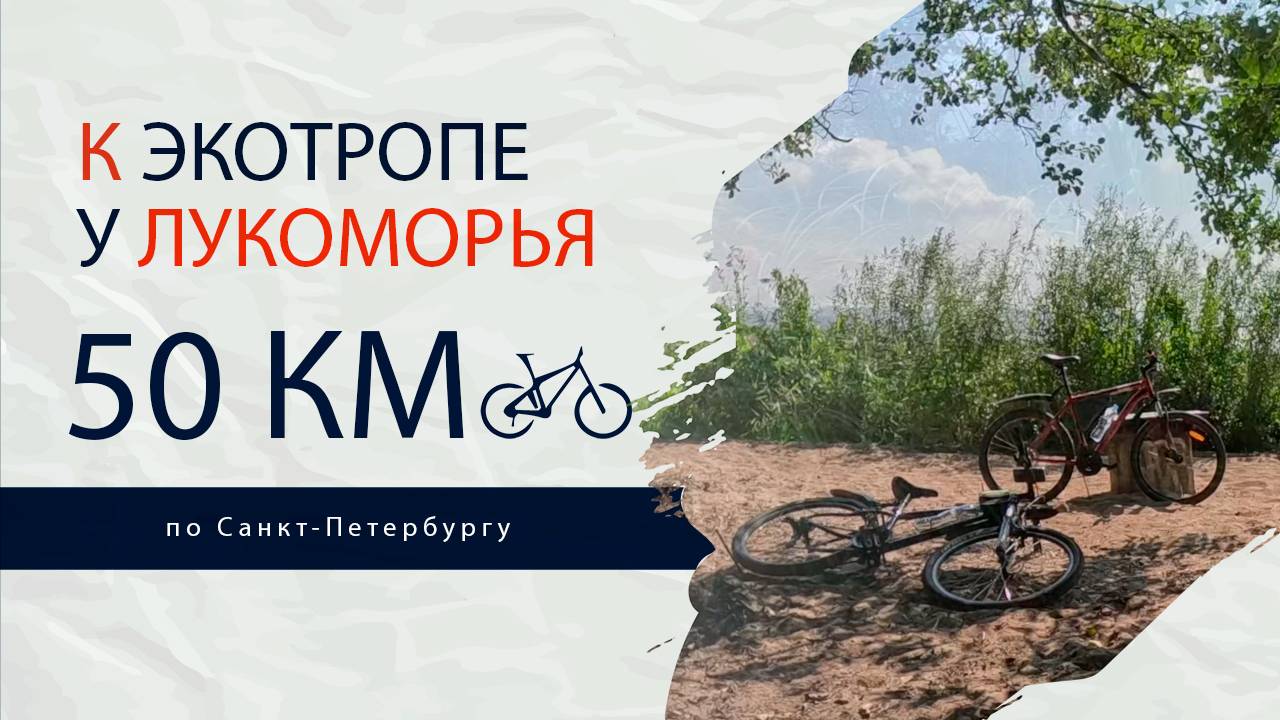 50 км на MTB. Велопрогулка на велосипеде к экотропе "У Лукоморья" и в Юнтоловский заказник.