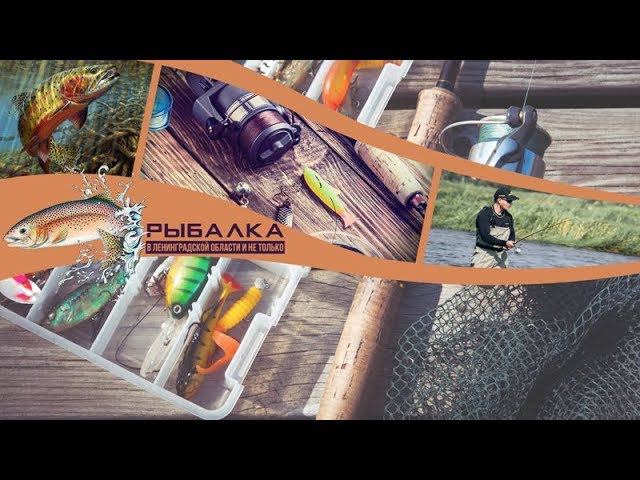 Прямая трансляция пользователя Сергей Шевчук