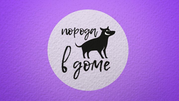 Проект «Порода в доме». 3 серия. Бенгальская кошка. 2023