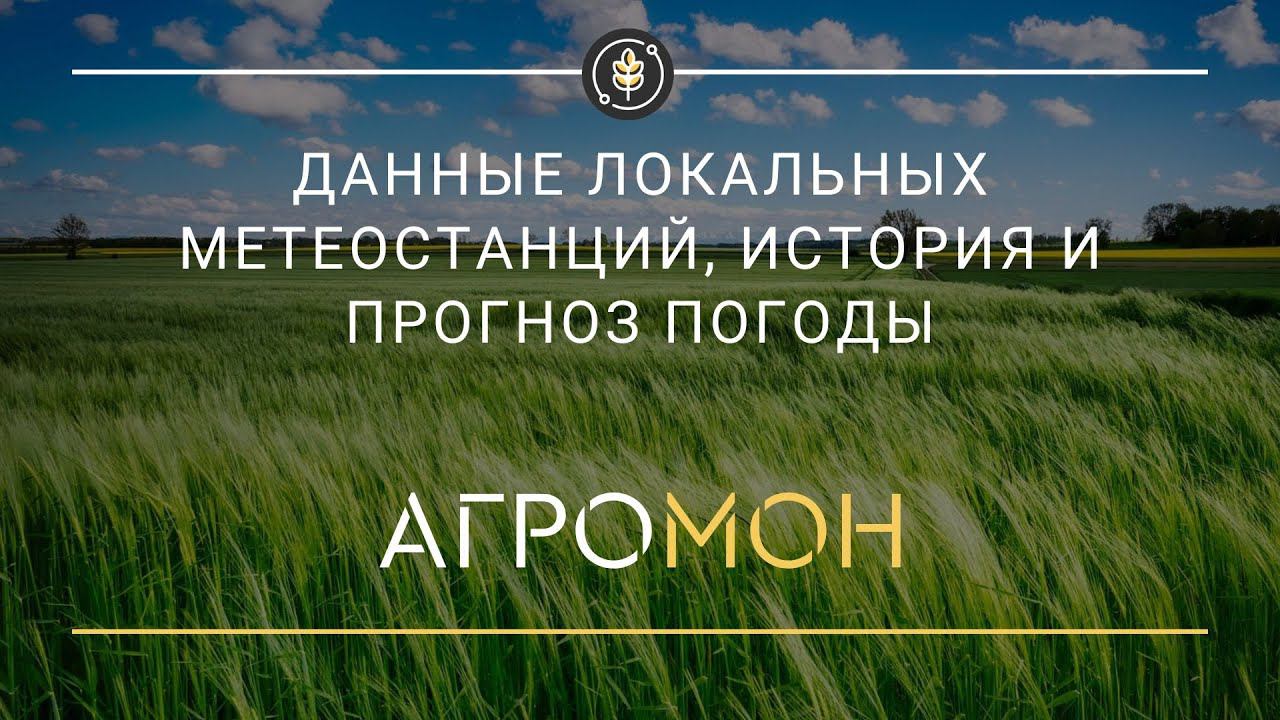 Метеоданные в мобильном приложении