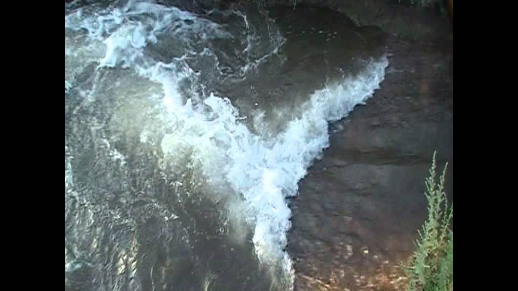 Кукушка+Звук+р.Сулинка