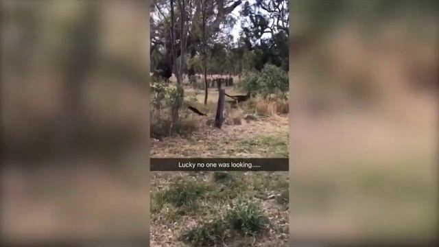 ?Лучшие смешные ПРИКОЛЫ ? #18