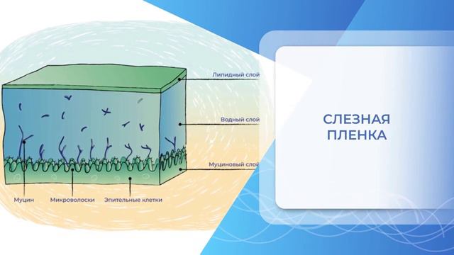 Мнение офтальмолога о важности слезной пленки