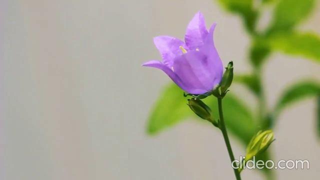 "Жаль, что кончилось лето"  Ю. Кукин