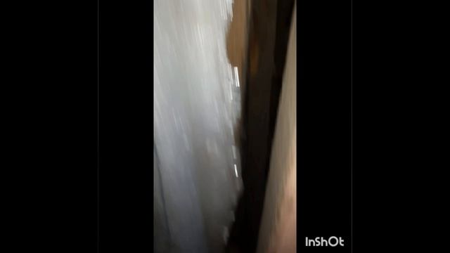 ПроРемонт.Реконструкция сарая для птицы.Фильм3.Серия1 .mp4