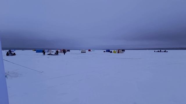 Вежма 12.02.2022..Зимняя рыбалка на Белом море. Онежский полуостров.