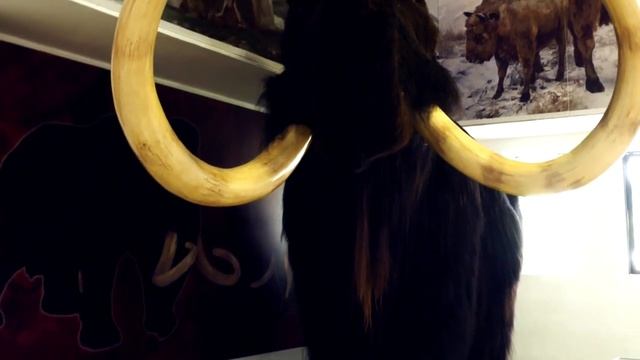 «Живая Земля Придонья». Воронежская область. Видео проекта