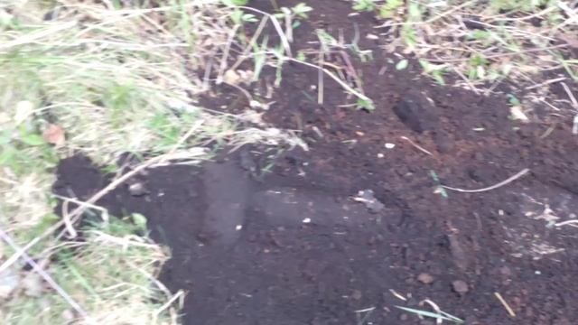 Нам ставят новый забор. Этап 1: ямы для столбов при помощи ручного бура