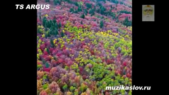 86 Осенняя грусть 18