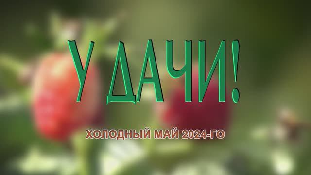 У Дачи! Холодный май 24-го