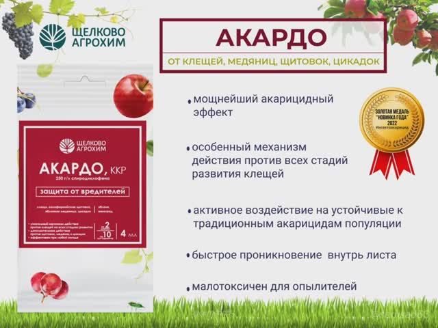 Мощная смесь от вредителей на даче