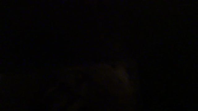 Электрический лифт V=0,71 м-с, грузоподъемность 320 кг (1274)