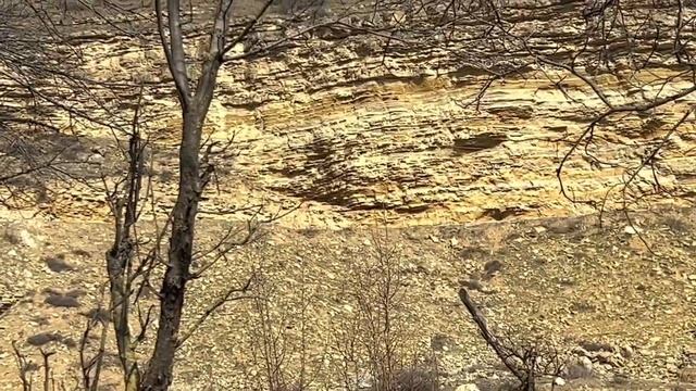 Сельские будни