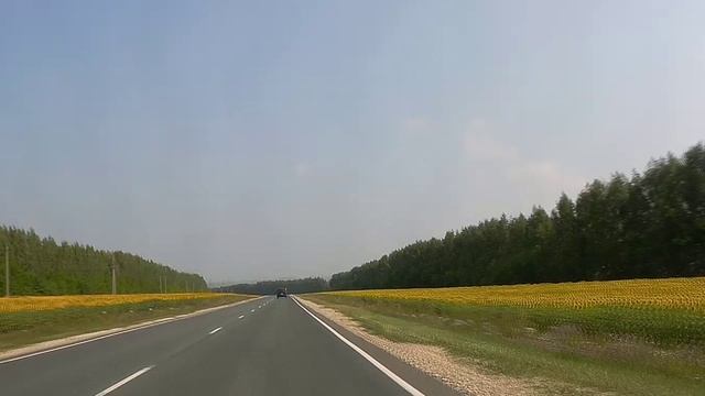 Едем в Саранск!