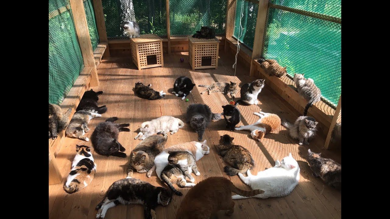 Воскресный вечер в большой комнате