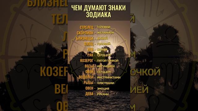 ⭐️Чем думают знаки зодиака⭐️