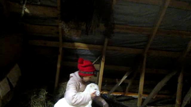 в первый раз дала Розе амелу