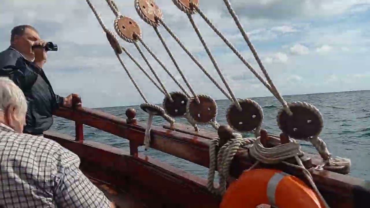 На кораблике вокруг горы Кара-Даг.