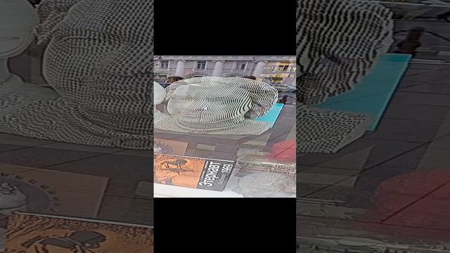 один день в СПб